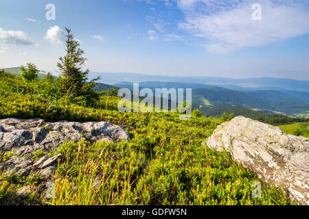 fir tree on the edge of clearing in mountains at night. beautiful ...