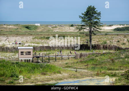 View over the Zwin Nature Park, bird sanctuary at Knokke-Heist and ...