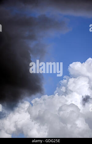 Cumulus congestus / towering cumulus cloud and black rain cloud ...