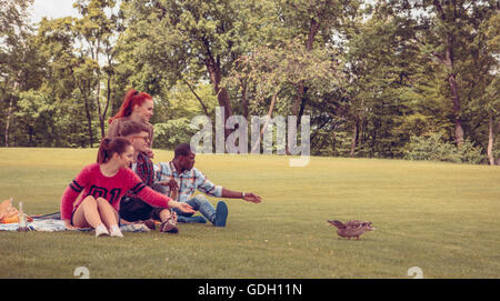 Best friends on picnic Stock Photo - Alamy