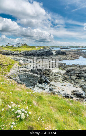 Rugged coastline near Trearddur Bay on Anglesey Stock Photo - Alamy