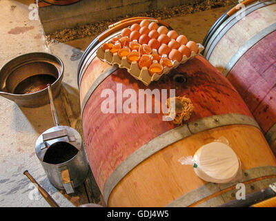 egg white clarification of red wine in barrels at Château Léoville ...