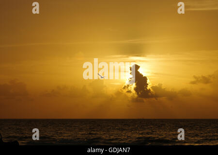 Sun rising over South Beach, Miami Stock Photo - Alamy