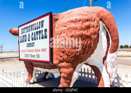 A very large cow advertising the Buttonwillow Land and Cattle company ...