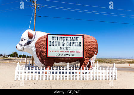 A very large cow advertising the Buttonwillow Land and Cattle company ...