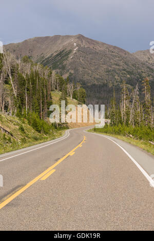 The East Entrance Road at Yellowstone National Park offers scenic views ...