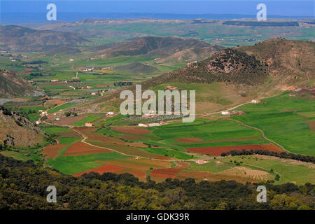 Ito volcanic landscape near Azrou, Morocco Stock Photo - Alamy