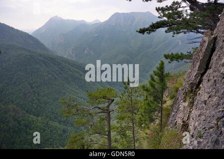 Overview of Perucica primeval forest, one of Europe's few surviving ...