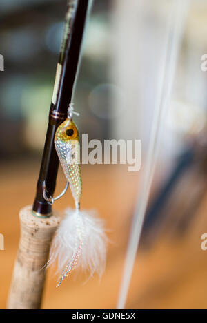 Fish that hang on the fishing rod with reverse light image during the ...