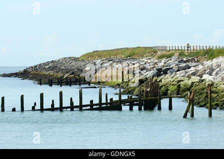 Wooden groynes & rock armour protecting the coastline from erosion at ...