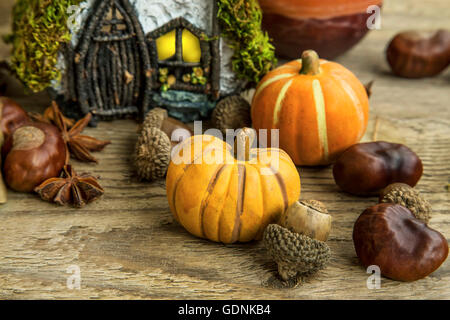 The autumn harvest. Decorative pumpkins and chestnuts fall out of the ...