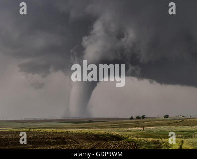 A large cone tornado touches down in an open country field from a very ...