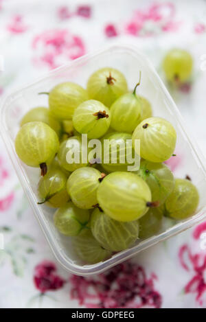 Punnet of Gooseberries Stock Photo - Alamy