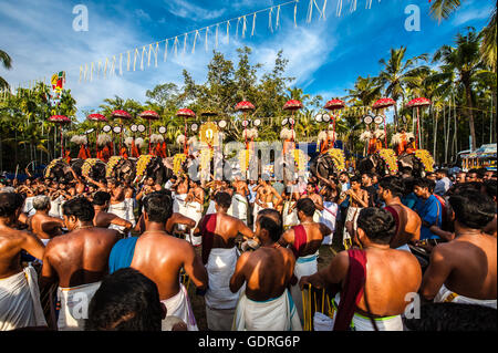 Hindu temple festival with many elephants, Thrissur, Kerala, South ...