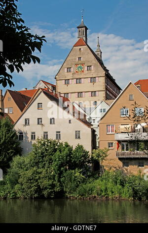 Europe, Germany, Baden-Wuerttemberg, Besigheim, walker looks out from ...