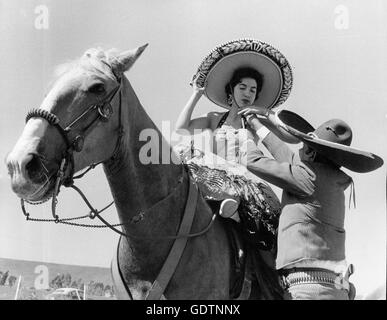 Woman gaucho on horses in traditional costumes in Salta, Argentina ...