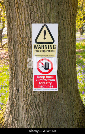 Warning sign or notice forest operations Stock Photo - Alamy