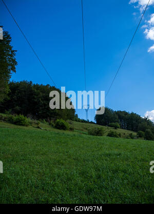 Power transmission line coming through forest Stock Photo - Alamy