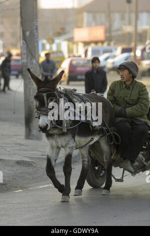 A man uses a donkey to haul his cart Stock Photo - Alamy