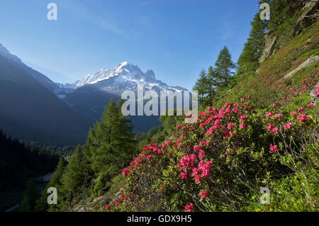 geography / travel, France, Aiguille Verte (4122m) and aiguille du Plan ...