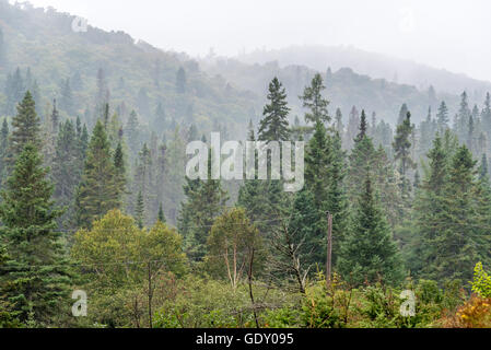 Strong fog on forest hills near Superior Lake, canada Stock Photo - Alamy