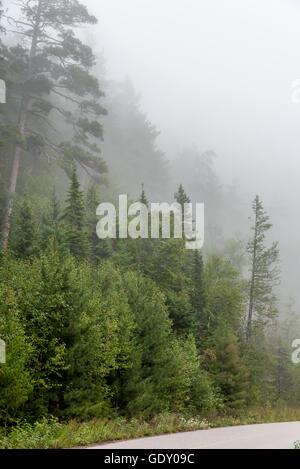Strong fog on forest hills near Superior Lake, canada Stock Photo - Alamy