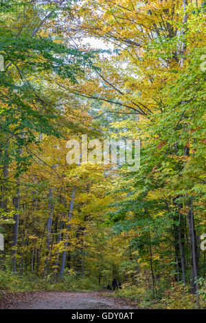 Pake in fall time near Toronto, Canada Stock Photo - Alamy