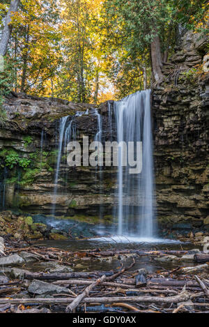 Fall in, Ontario Hilton Falls conservation area Stock Photo - Alamy