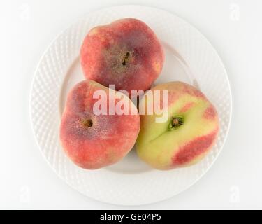 Plate Peach (Prunus persica 'Ufo 3', Prunus persica Ufo 3), peaches on ...