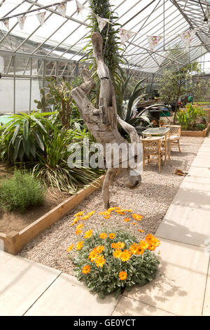 Inside large glasshouse, Potager Garden, Constantine, Cornwall, England ...
