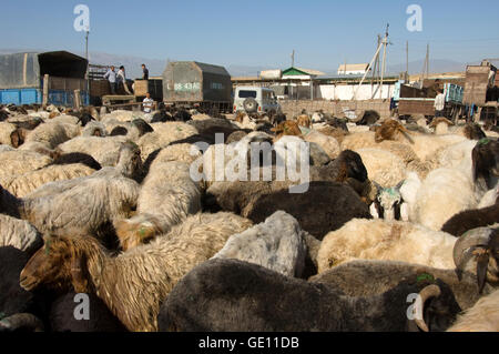 Tolkuchka bazaar, selling sheeps and goats, Ashgabat, Turkmenistan ...