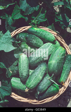 A vertical top view of a wicker basket full of healthy fruits and ...