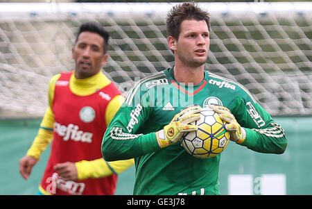 Goalkeeper Vagner, the SE Palmeiras, during training, the Football ...