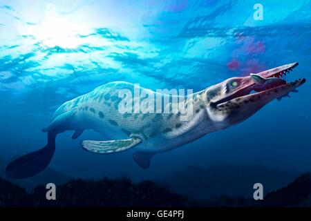 The mosasaur is an extinct marine reptile that lived 70-65 million ...