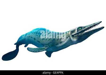 The mosasaur is an extinct marine reptile that lived 70-65 million ...