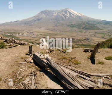 Mount St. Helens is an active volcano in Washington State in the United ...