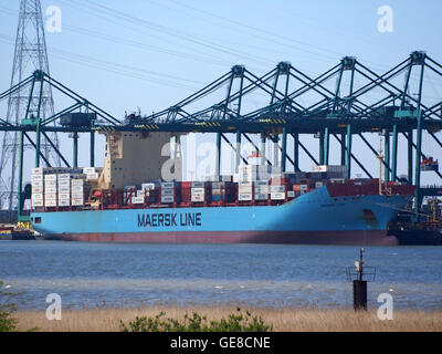 The *Maersk Lima*, a container ship built in 2011 with IMO number ...