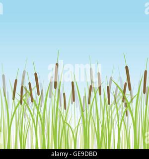 Grass, reed and wild plants detailed silhouettes illustration ...