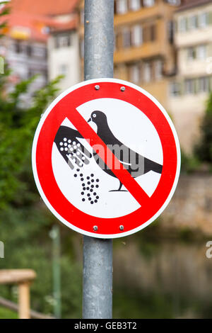 No pigeons sign Stock Photo - Alamy