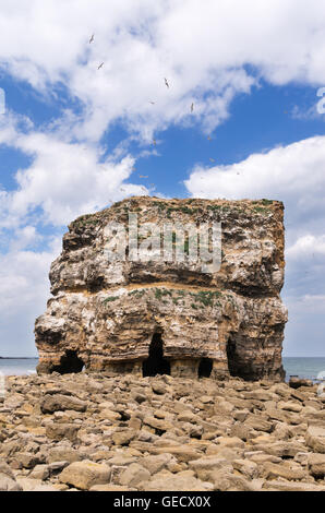 Marsden Rock, a limestone sea stack, in Marsden Bay near South Stock ...