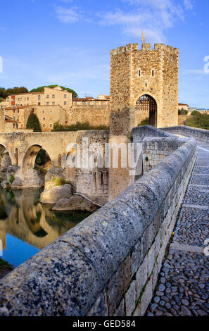 Old bridge in autumn scenary with pines and chestnut tree Stock Photo ...