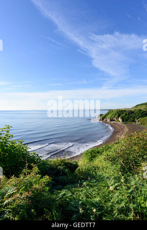 Hawthorn Hive and Hive Point Stock Photo - Alamy
