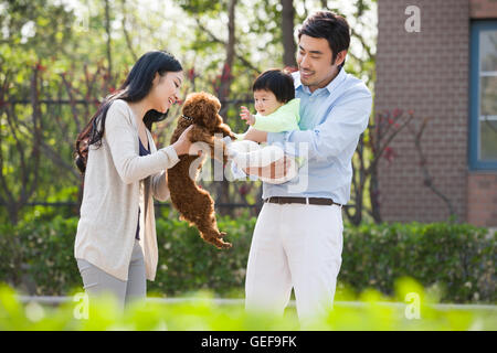 Happy young Chinese family with their pet dog Stock Photo: 112203496 ...