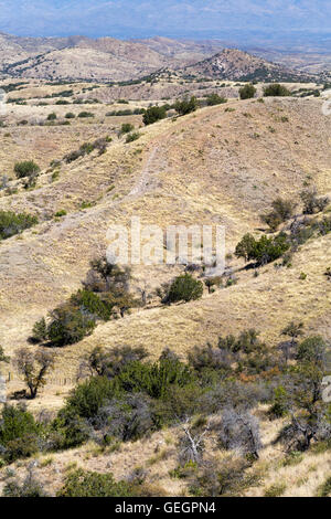 The northern Santa Rita Mountain foothills below the Whetstone ...