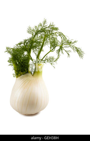 fennel vegetable on white isolated background Stock Photo - Alamy