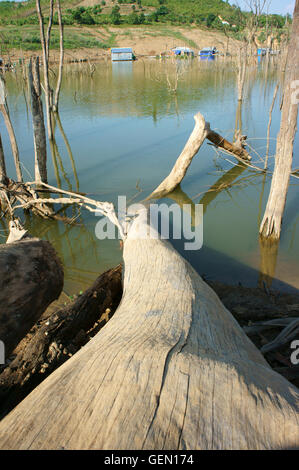 Deforestation at Vietnam countryside, stump solitary, jungle damaged ...