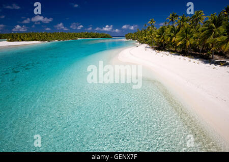 Palm trees and beach One Foot Island near Aitutaki Cook Islands South ...