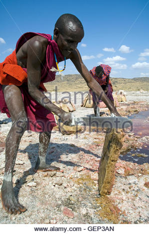 Soda extraction at Lake Natron in Tanzania Maasai use donkeys to Stock ...
