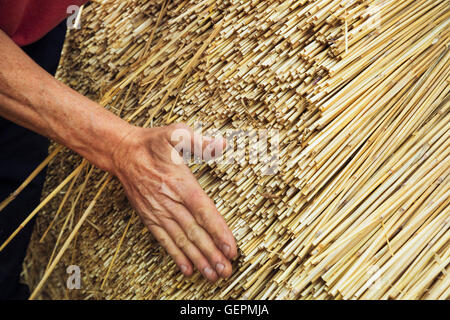 Close up of a man thatching a roof, fastening a bundle of straw with a ...
