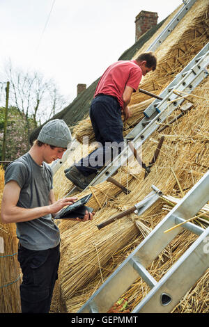 Three thatcher's thatching a thatched roof in West Bay, Dorset, England ...